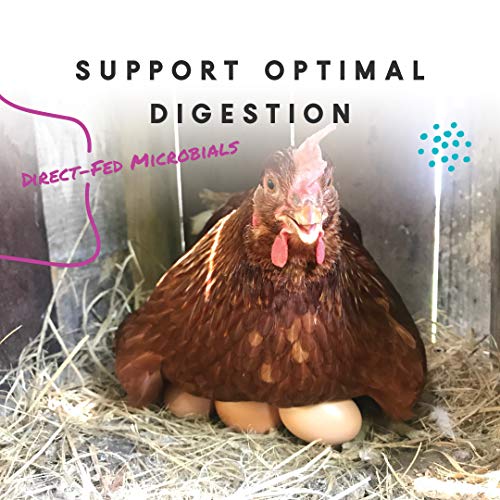 Manna Pro Chicken Feed Supplement | Omega Egg Maker Chicken Supplies | Chicken Food Supplement for Laying Hens | 5 Pounds