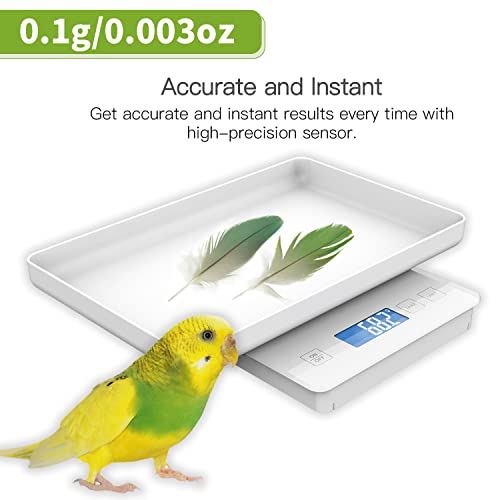 MINDPET-MED 11lbs/0.1g Pet Scale for Small Animal, Whelping Scale, Guinea Pig Weighing Scale, High Precision 0.003oz, Suitable for All Newborn Pets, Kittens, Turtles,