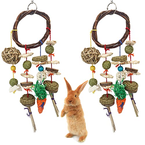 Grddaef Rabbit Chew Toys, Bunny Cage Hanging Toys Rattan Ring Treats Grinding Teeth for Rabbit Guinea Pig Chinchilla Hamster Ferret