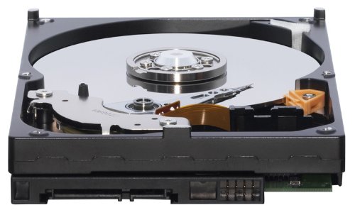 Western Digital 160 GB AV 100 Mb/s 7200 RPM 8 MB Cache Bulk/OEM AV Hard Drive- WD1600AVJB