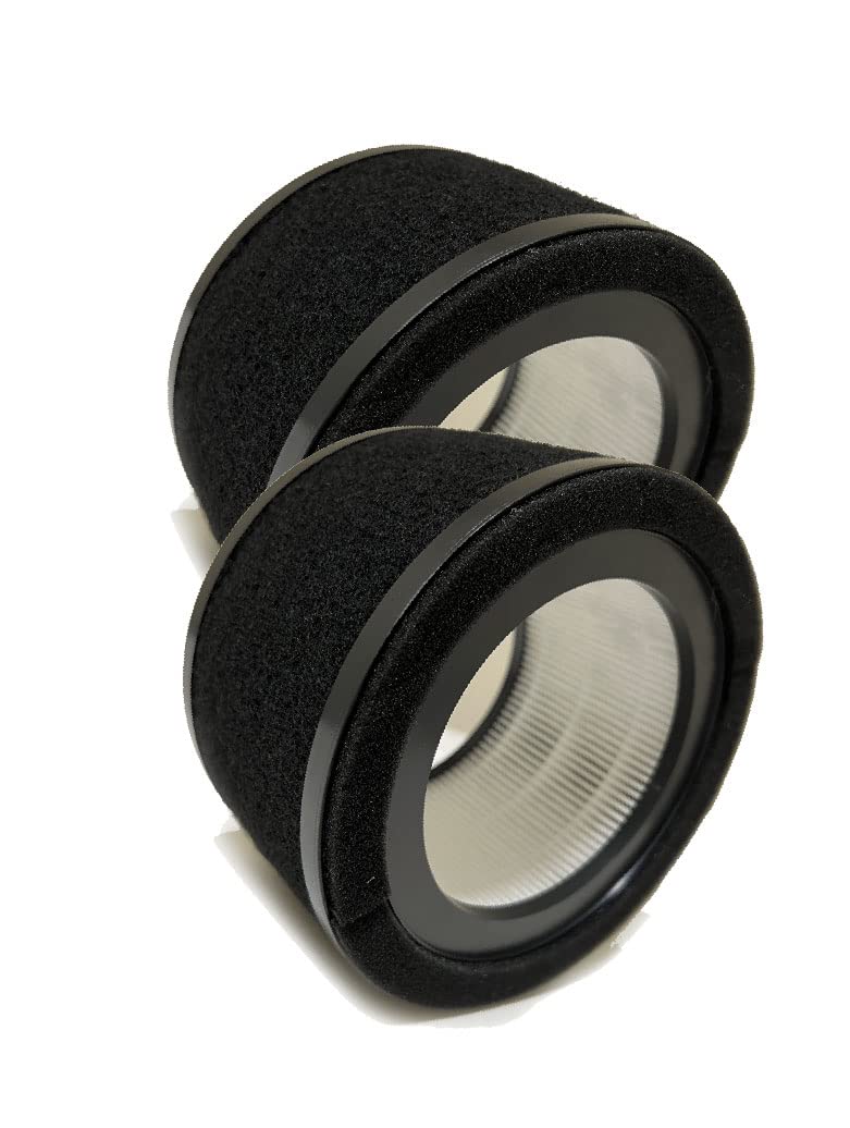 Nispira Replacement Filter L True HEPA + Activated Carbon Pre Filter Compatible with GermGuardian Air Purifier AC4200W FLT4200, 2 Packs