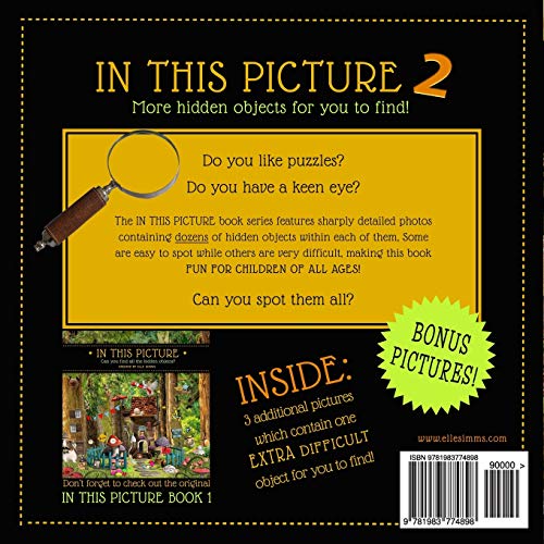 In This Picture 2 - More Hidden Objects for You to Find!