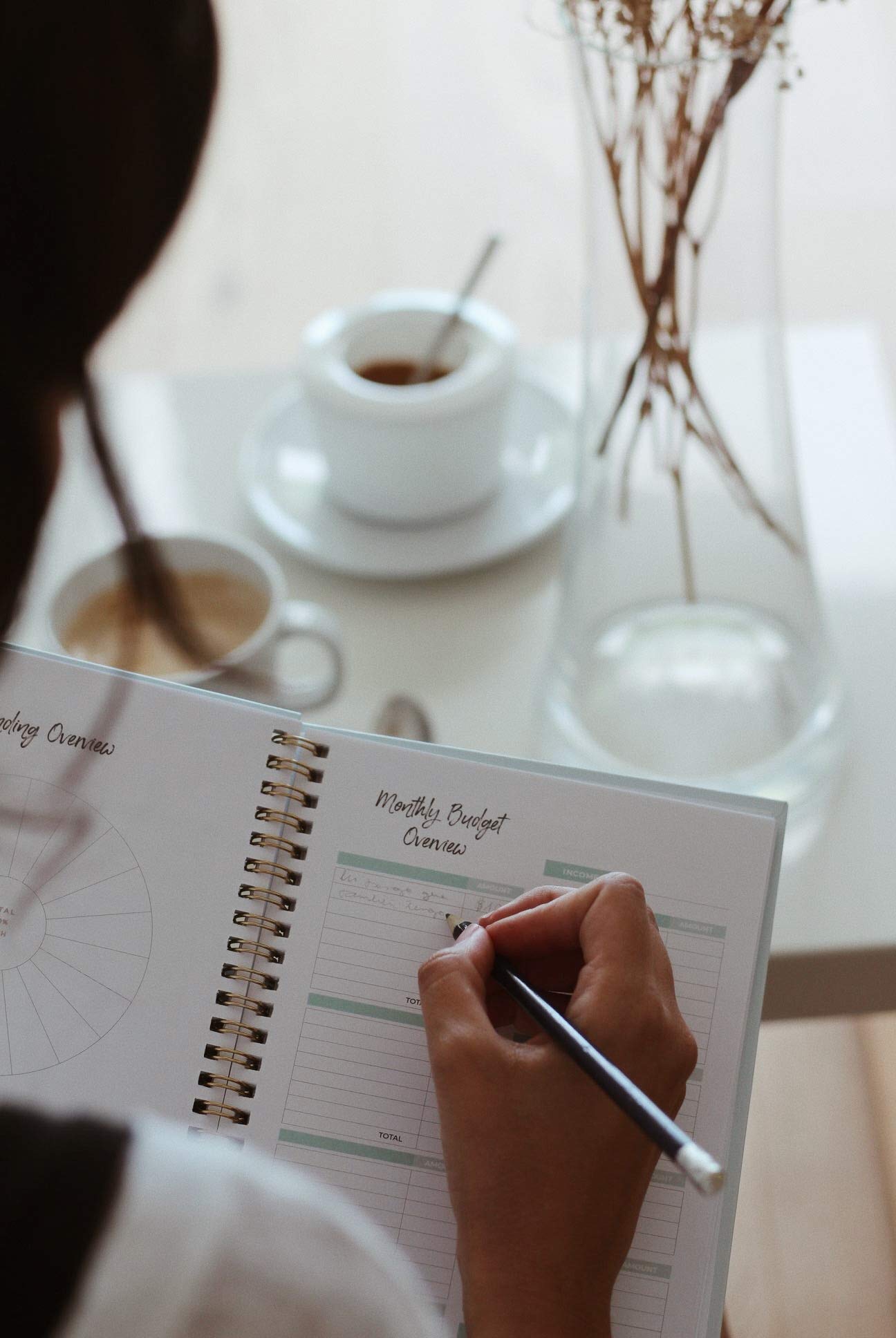 Budget Planner and Monthly Bill Organizer - Financial Planner β12-Month Budget Organizer, Budget Book Planner - Income and Debt Tracker Planner, Business Expense Tracker Notebook and Bill Planner