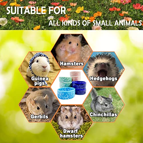 kathson 2 Pcs Hamster Food Bowl Guinea Pig Ceramic Water Bowl Small Animal Feeding Dish for Dwarf Hamster Gerbil Syrian Ferret Hedgehog Chinchilla Bunny (Blue)…