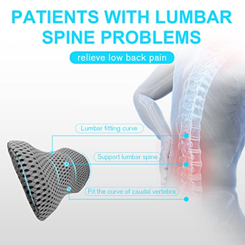 Lumbar Support Pillow - Memory Foam for Low Back Pain Relief, Ergonomic Streamline Car Seat, Office Chair, Recliner and Bed