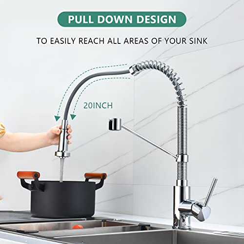 Baydow Single Hole Kitchen Sink Faucet with Pull Out/Down Sprayer, High Arc Stainless Steel Single Handle,Chrome Finish
