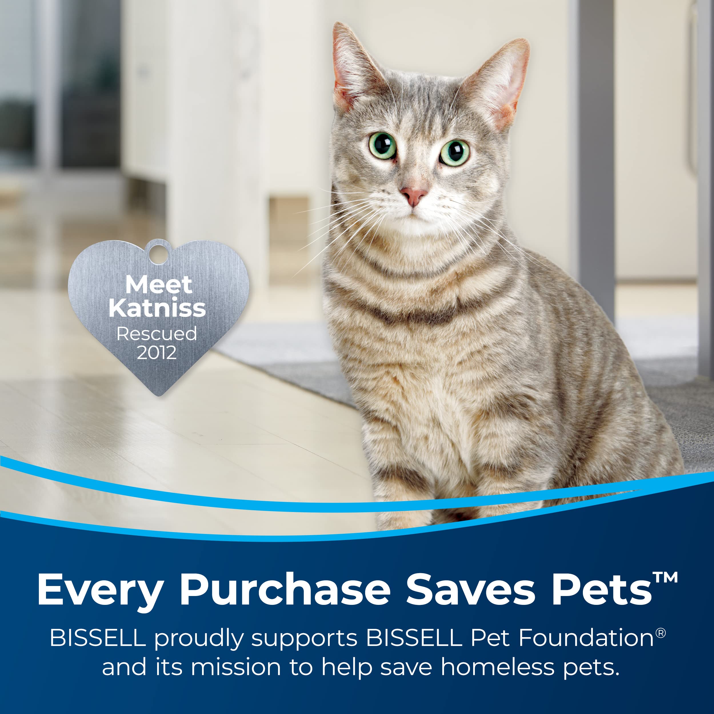Bissell Pet Multi-Surface Febreze Freshness for Crosswave and Spinwave (64 oz), 22951, 64 Ounce, 64 Fl Oz & PET PRO OXY Spot & Stain Formula for Portable Carpet Cleaners, 32 oz, 2034