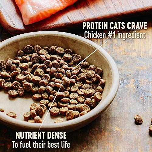 Wellness CORE Grain-Free Chicken, Turkey & Chicken Meal Indoor Formula Dry Cat Food, 11 Pound Bag