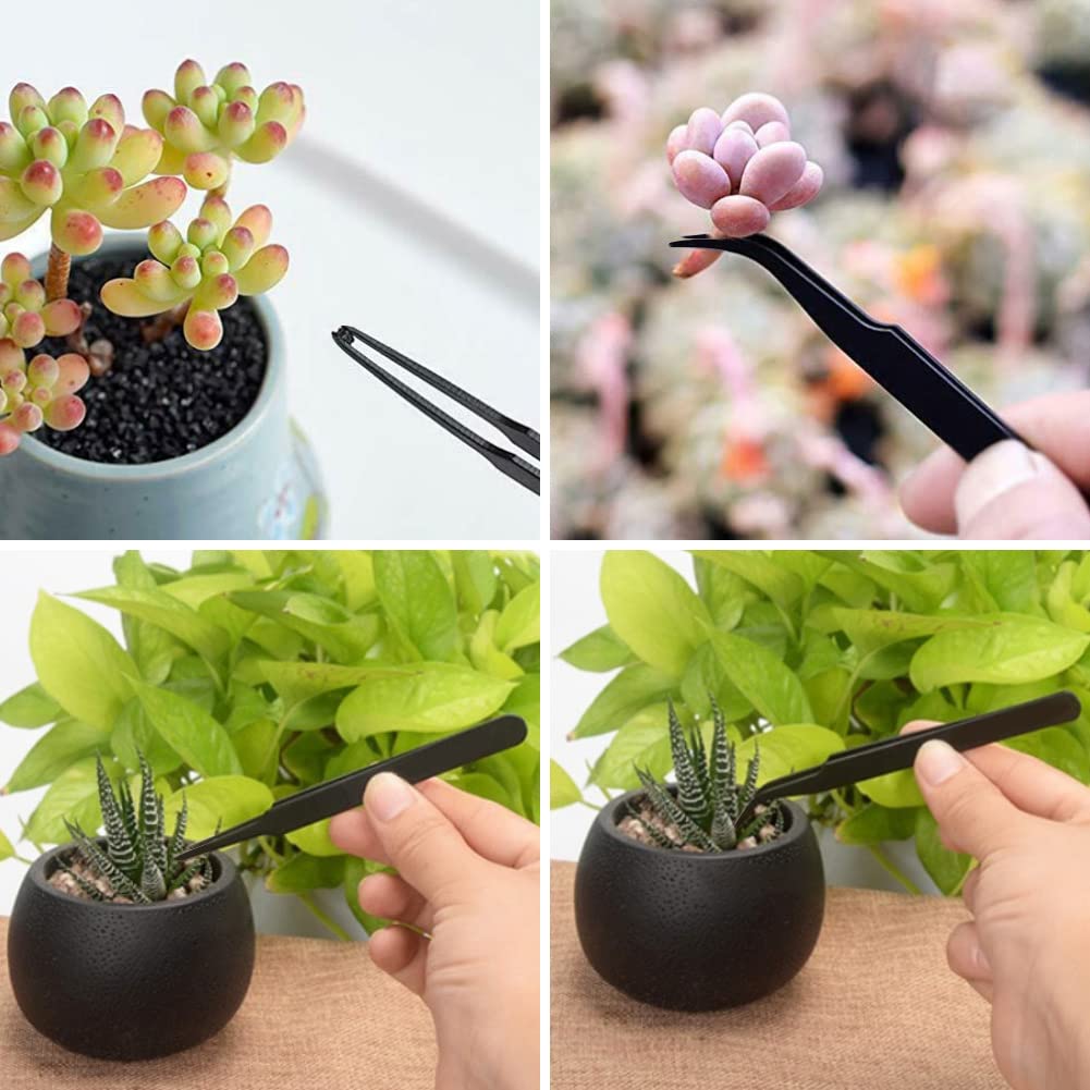 BUDDE Bonsai Tree Kit Tools Set Succulent 21 PCS Garden Hand Tool Include Pruning Shears, Carbon Steel Scissors, Perfect Starter Gardening Trimming Tools(pink), (A2ZJYYPJGJpink)