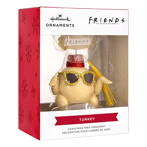 Hallmark Friends Frame Christmas Ornament, Resin & Friends Turkey in Fez and Sunglasses Christmas Ornament, Resin