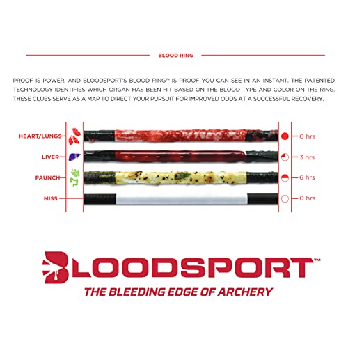 BLOODSPORT Punisher Precise Durable Carbon Fletched Hunting Arrow for Compound Bow - 31" Length, 244" Standard-Diameter, 004" Straightness, 6 Pack, 350 Spine,Black