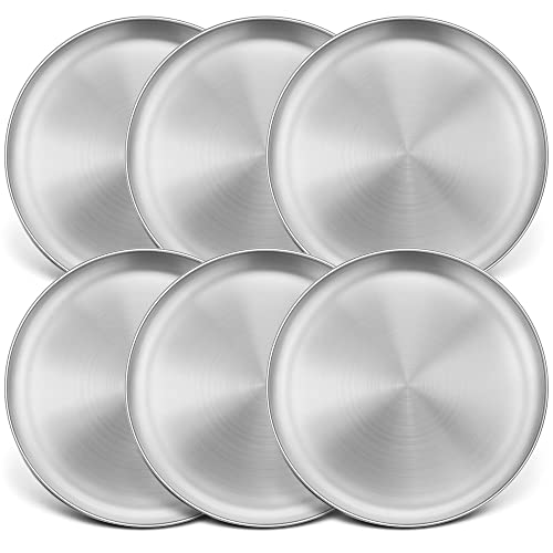 LIANYU 6-Piece Kids 18/8 Stainless Steel Plates, 8 Inch Toddler Metal Round Dinner Plates, Kids Children Dishes for Serving Outdoor Camping, Matte Finished, Dishwasher Safe