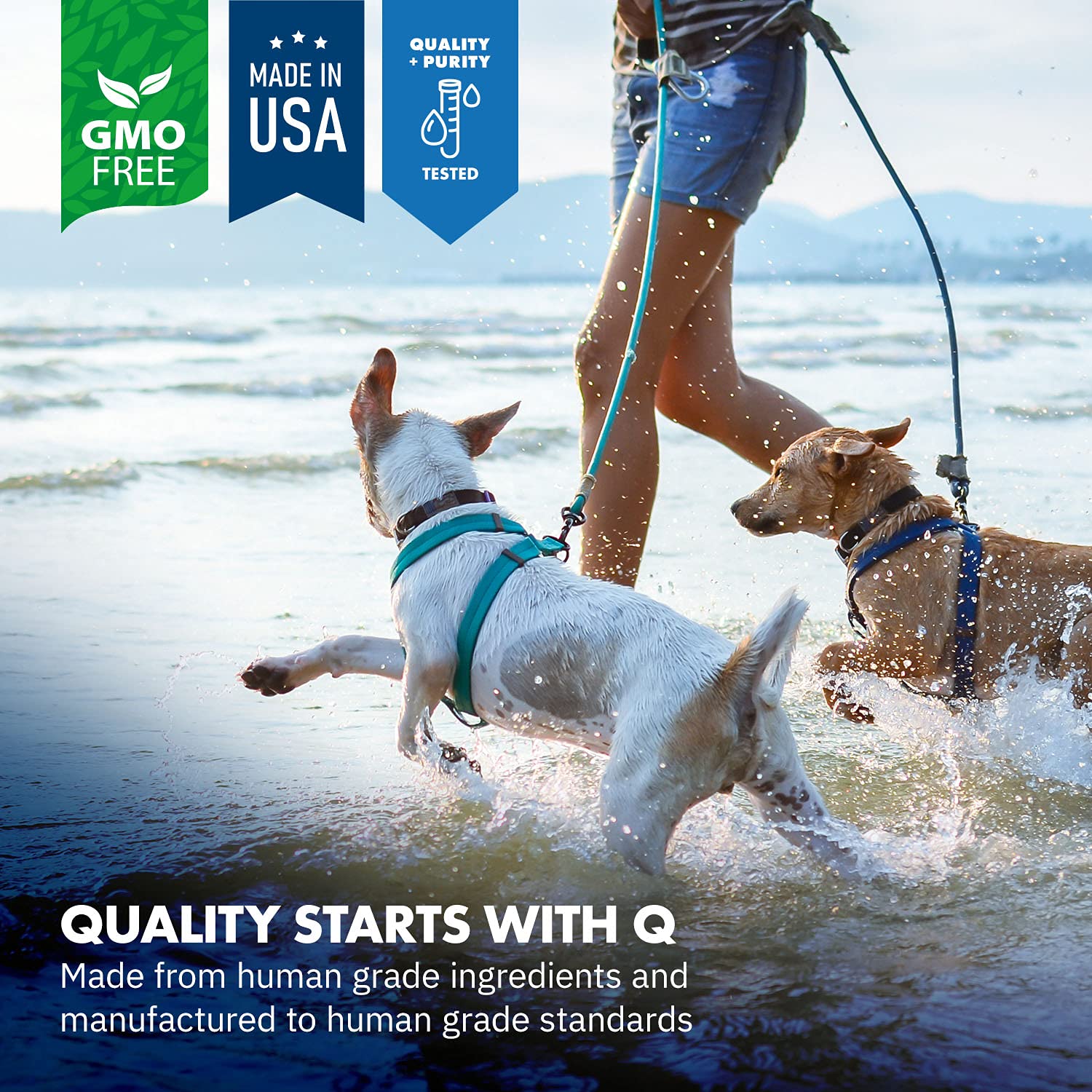 Equa Holistics Green Lipped Mussel Powder for Dogs, All-Natural Hip & Joint Support Dietary Supplement Formula for Dogs (120 Servings)