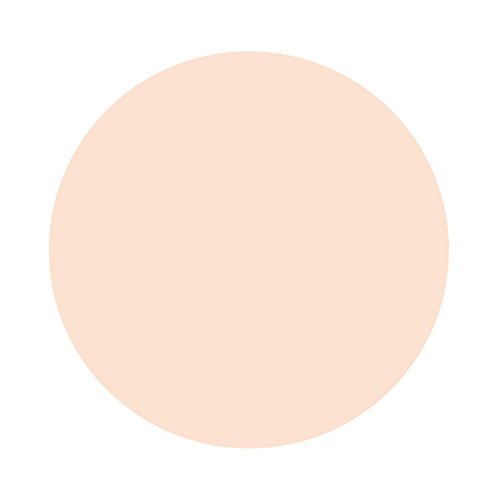 Revlon Foundation, New Complexion One-Step Face Makeup, Longwear Light Coverage with Matte Finish, SPF 15, Cream to Powder Formula, Oil Free, 001 Ivory Beige, 0.35 Oz
