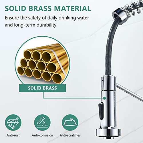 Baydow Single Hole Kitchen Sink Faucet with Pull Out/Down Sprayer, High Arc Stainless Steel Single Handle,Chrome Finish