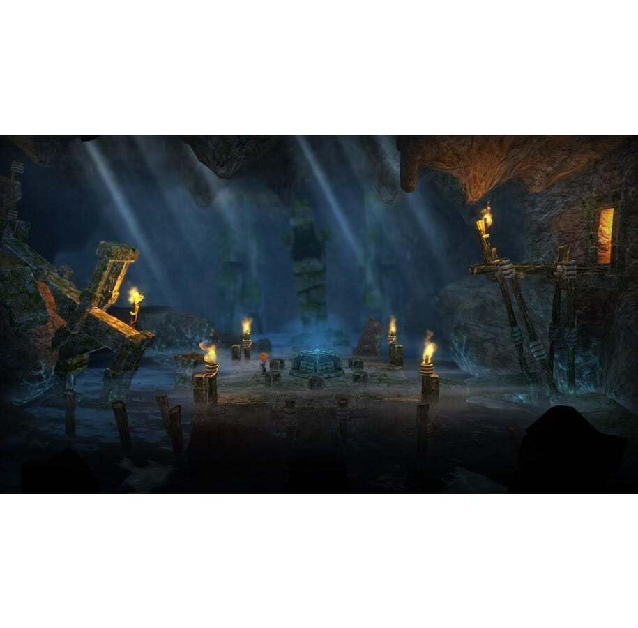 Max The Curse of Brotherhood (PS4)