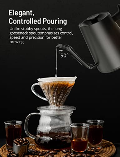 Paris Rhône Gooseneck Electric Kettle, Temperature Variable Electric Kettle for Coffee Tea Brewing, 0.9L Stainless Steel Tea Kettle, 1H Temperature Holding, Built-in Stopwatch for Gift