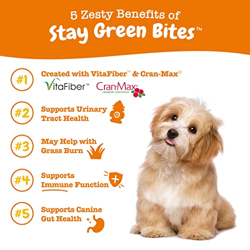 Zesty Paws Stay Green Bites for Dogs - Grass Burn Soft Chews for Lawn Spots Caused by Dog Urine - Cran-Max Cranberry for Urinary Tract & Bladder - with Apple Cider Vinegar + Digestive Enzymes - 90ct