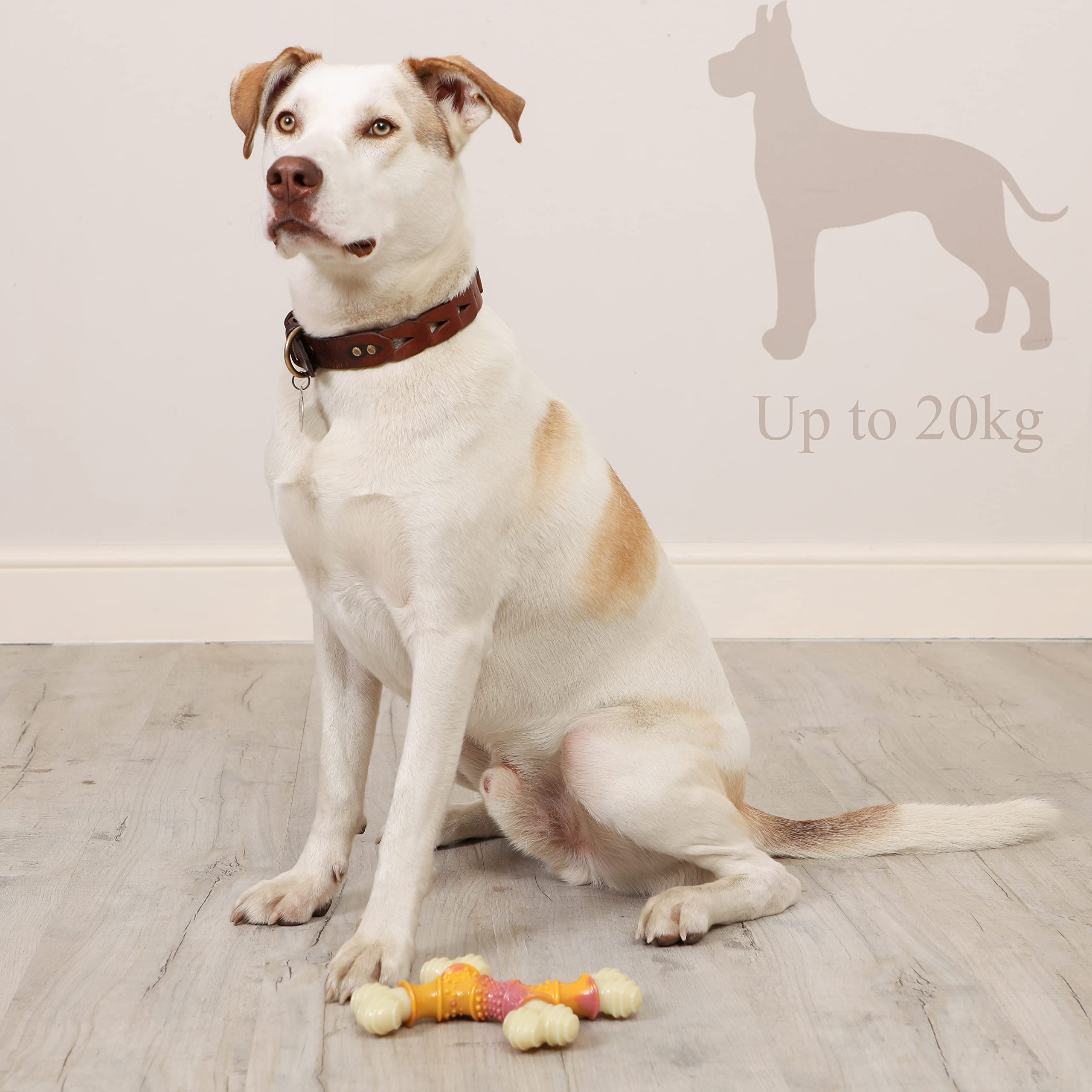 Dog Toy, Tough Nylon Cross Bone Toy, Durable TPR Bacon & Maple Syrup Scented Dental Chew Toy for Medium Large Breed Dogs