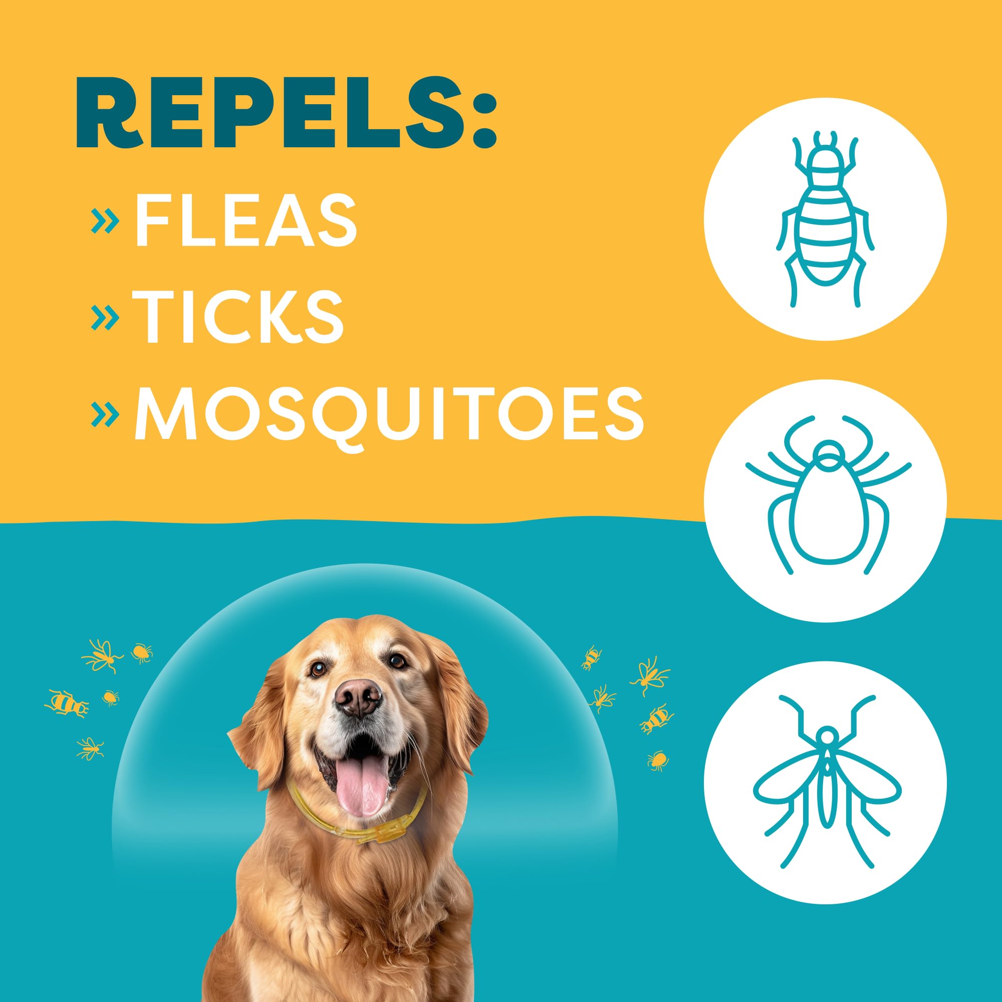 Only Natural Pet EasyDefense Flea & Tick Dog Collar - Canine Flea Collars Flea and Tick Control - Pet Flea Care That Protects up to 4 Months - for Dogs (2 Pack)