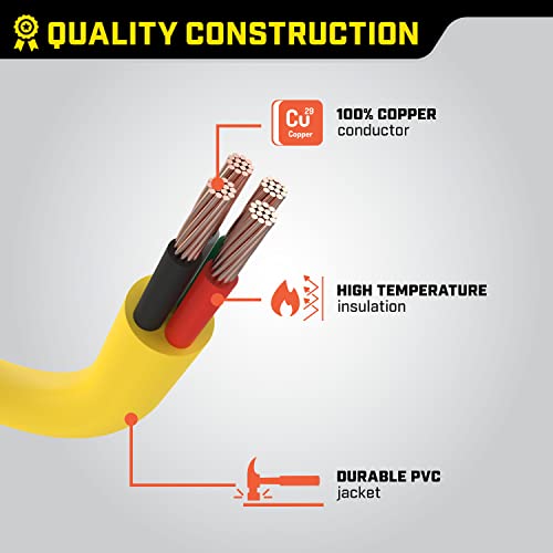 Champion Power Equipment 100827 Foot 30-Amp 125-Volt RV Generator Power Cord, (TT-30P to L5-30R)