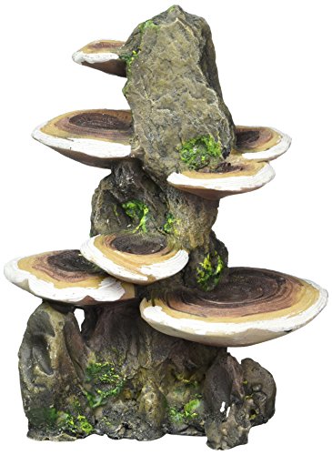 Penn-Plax Deco-Replicas Tree Trunk with Shelf Mushrooms Aquarium Decoration β Safe for Freshwater and Saltwater Fish Tanks β Medium