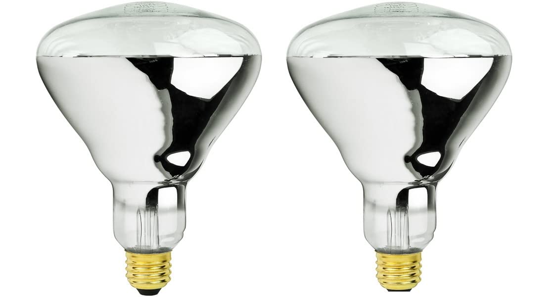 BULBMASTER 250 Watts R40 Heat Lamps Outdoor Bulbs for Pets Flood Light Bulb for Chickens Infrared Reflector 250W R40 Incandescent Medium E26 Base 2 Pack (CLEAR250R40-2PK) (250/R40/LEAR/2 PKk)