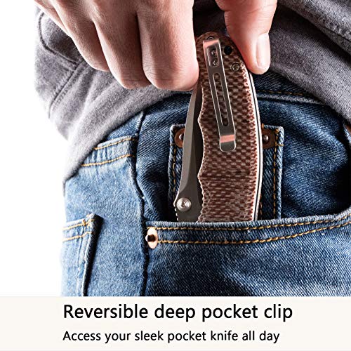 CIVIVI Hooligan Small Pocket Knife - Folding Knife with 2.98β D2 Blade Micarta Handles,Hunting Outdoor Knife with Reversible Clip for men C913C (Snakeskin)