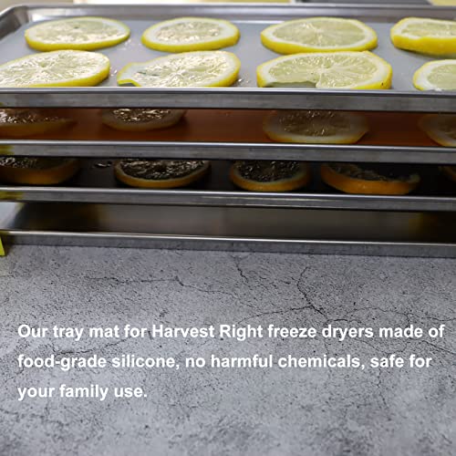 PIAOLGYI Tray Mats for Harvest Right Freeze Dryer Medium Trays,Silicone Accessories Compatible with Harvest Right Freeze Dryer Medium Trays(Green)