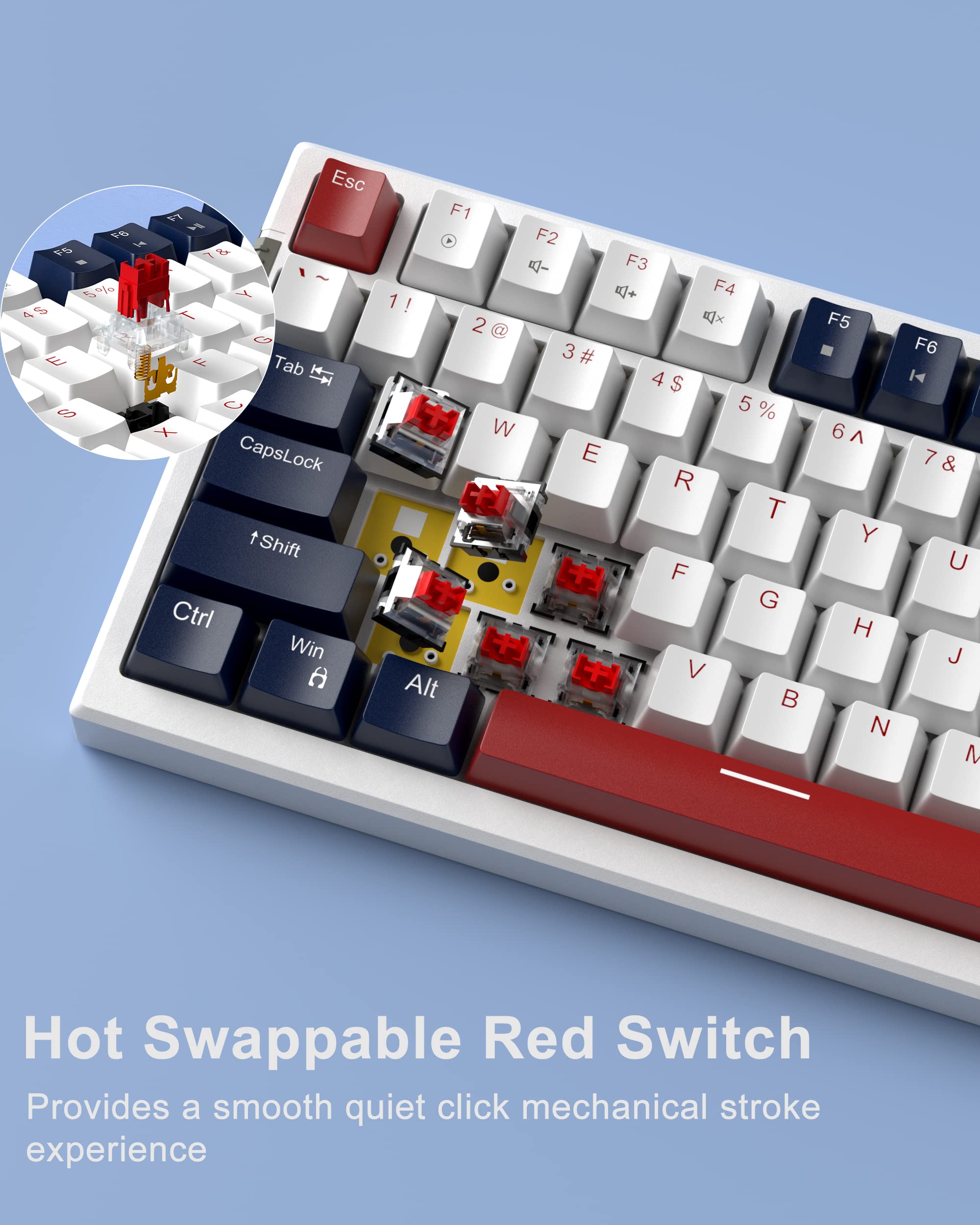 Compact 80% Mechanical Gaming Keyboard,Hot-Swappable Keyboard with 98-Key Design and 114 keycaps Anti-Ghosting Gaming/Office Keyboard with Blue Switches for Windows Mac PC, White & Blue