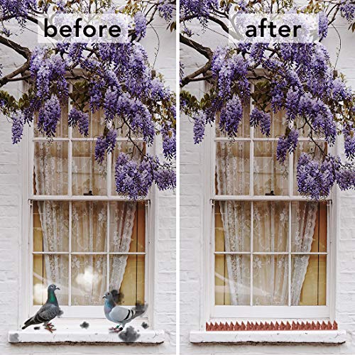 COOES Bird Spikes Defender Fence Spikes Effective Plastic Anti-Theft-Climb Strips, 20 Feet