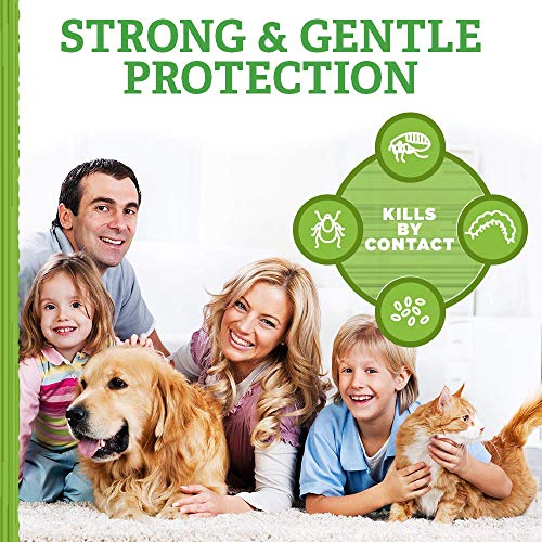 Natural Care Flea and Tick Spray for Dogs and Cats | Flea Treatment for Dogs and Cats | Flea Killer with Certified Natural Oils | 14 Ounces