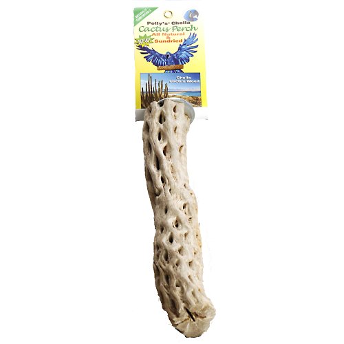 Polly's Cholla Cactus Bird Perch, Large