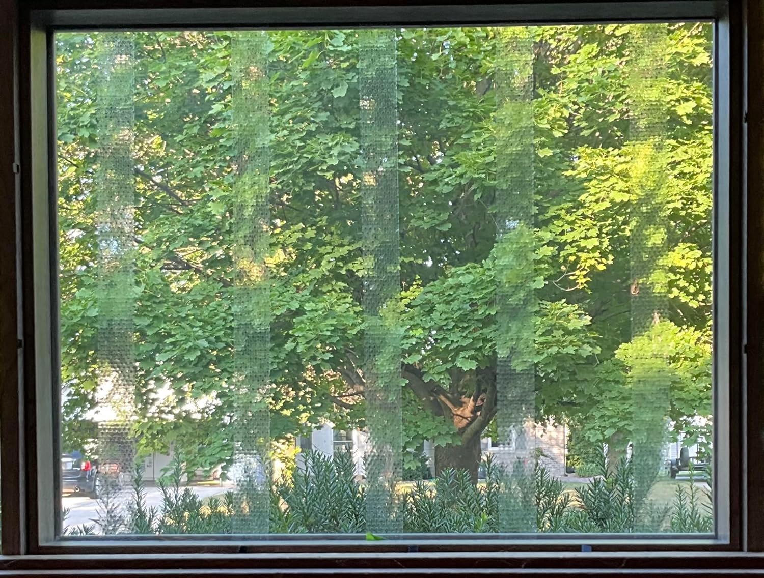 CollidEscape Spiderweb Clear Bird Tape for Windows (3/4" x 40' - Covers 2 to 3 Windows) | Window Decals to Prevent Bird Strike Prevention for Windows | Clear