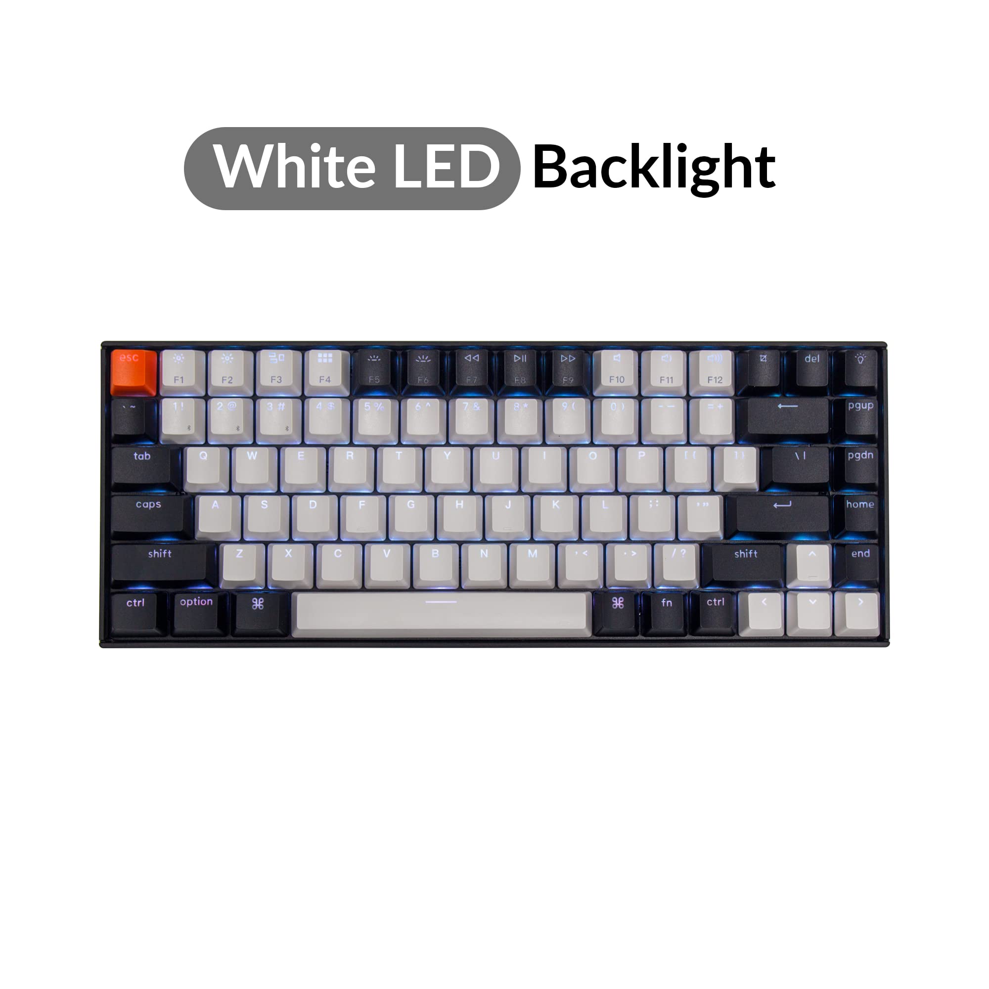Keychron K2 75% Layout 84 Keys Hot-swappable Bluetooth Wireless/USB Wired Mechanical Keyboard for Mac with Gateron G Pro Blue Switch/Double-Shot Keycaps/White LED Backlit for Windows Version 2