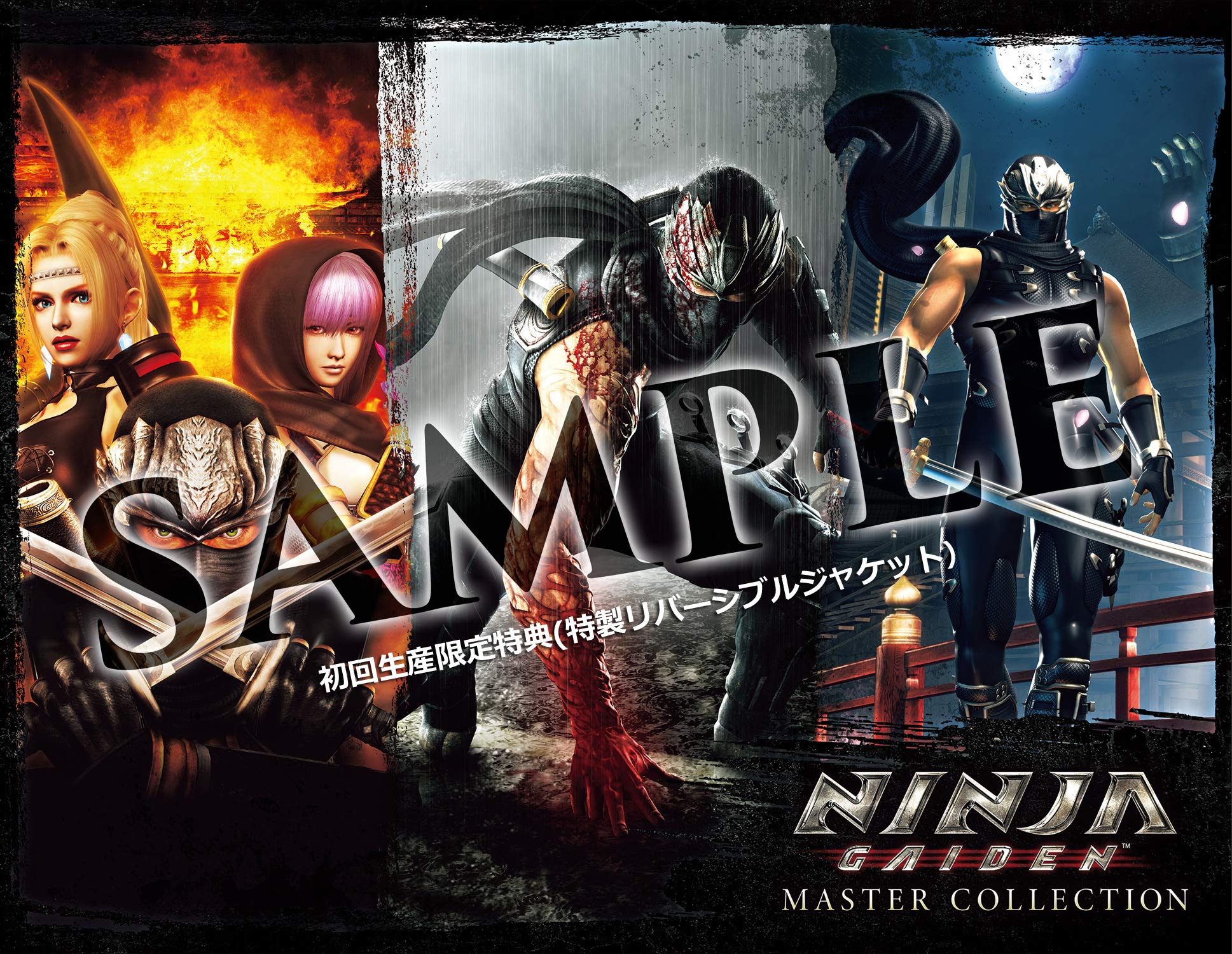 Ninja Gaiden Master Collection (English) (Multi-Language)