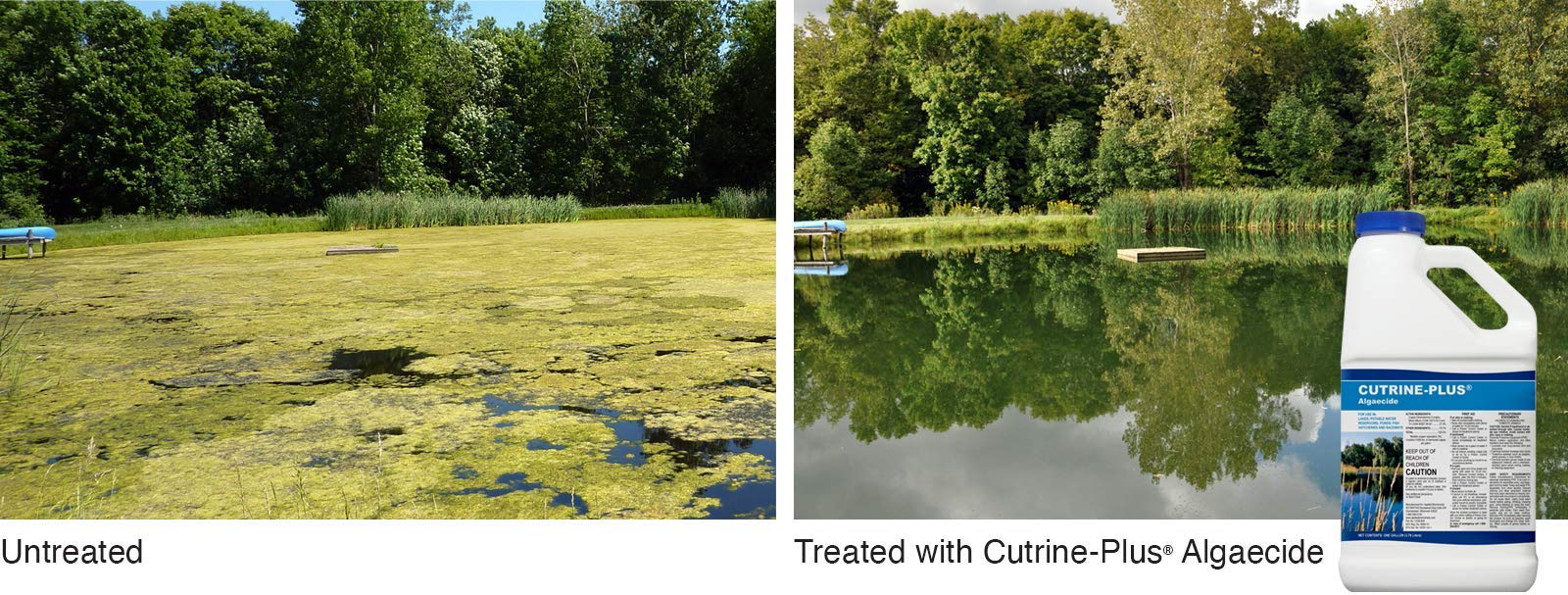 Cutrine Plus Algaecide and Bacti-Klear