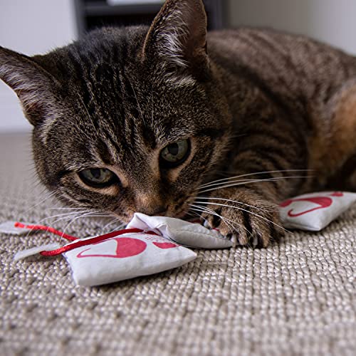 Petlinks (3 Set) Tea Zing Catnip Cat Toys - Randomly Selected Color, 3 Set