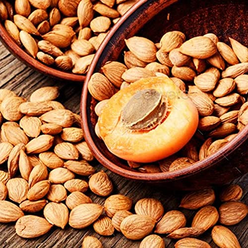 Bitter Apricot Kernels Organic Raw (1LB) -100% USDA Organic Certified β Product of Turkey (Free Electronic Book)