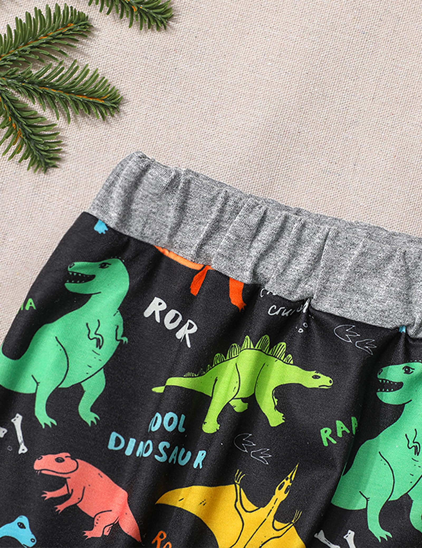 BAVADER Toddler Boy Clothes 18 24 Months Boy Clothes Mama's Boy Dinosaur Long Sleeve Hoodie Pant Sets Toddler Clothes for Boys