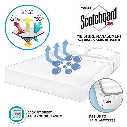 Peak Performance 3M Scotchgard Micro Fleece Wrinkle and Stain Resistant, Soft Plush Sheets with 14" Deep Pocket Cold Season Cozy Bedding-Set, Matching Pillow Case, Queen, Mink (SHET20-729)