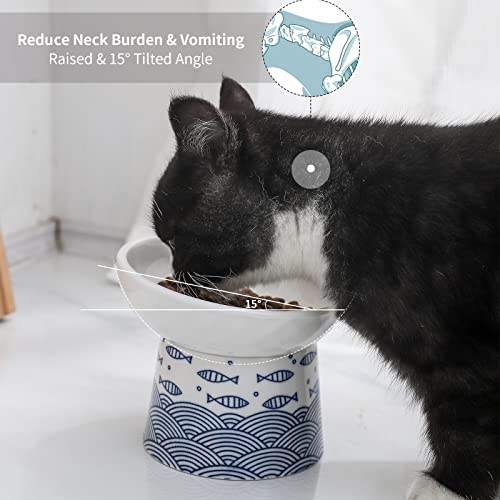 Ceramic Raised Cat Bowls, Elevated Tilted Cat Food and Water Bowls Set, Porcelain Stress Free Pet Feeder Dish for Cats and Small Dogs, Dishwasher and Microwave Safe, Set of 2