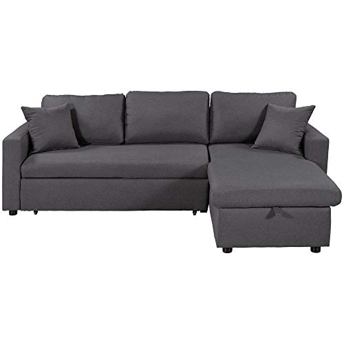 LUMISOL Sectional Sleeper Sofa with Pull Out Bed, L-Shaped Corner Sofa with Storage Chaise, Reversible Sofa Couch, 2 Toss Pillows for Living Room, Apartment