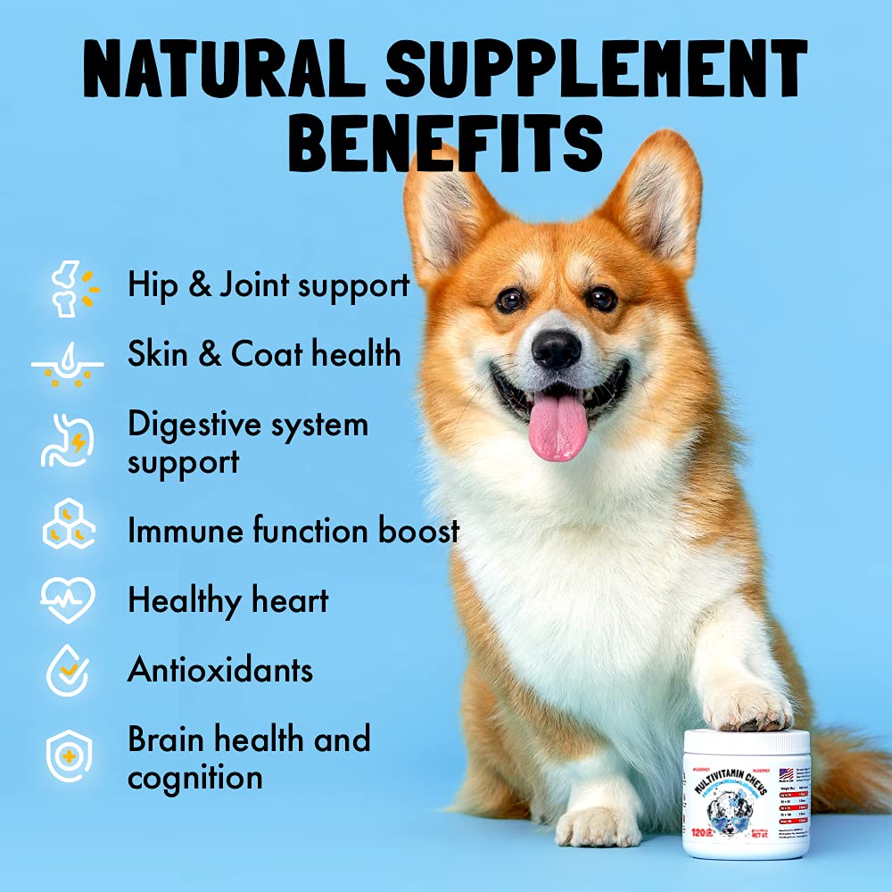 LEGITPET Dog Vitamins & Hip & Joint Supplement & Allergy Relief Chews & Calming Treats Bundle