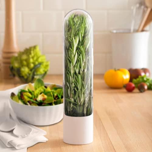 Honiwu Guacamole Keeper, 1PC Herb Keeper Herb Storage Container Savor Preserver For Cilantro Mint Parsley Asparagus