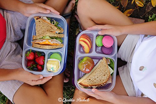 Qualitas Products® Premium Kids Bento Boxes – 3 Compartments, 5 Bento Box Microwave Safe Lunch & Leftover Containers Set for Kids and Adults - Made From Food Grade Plastic