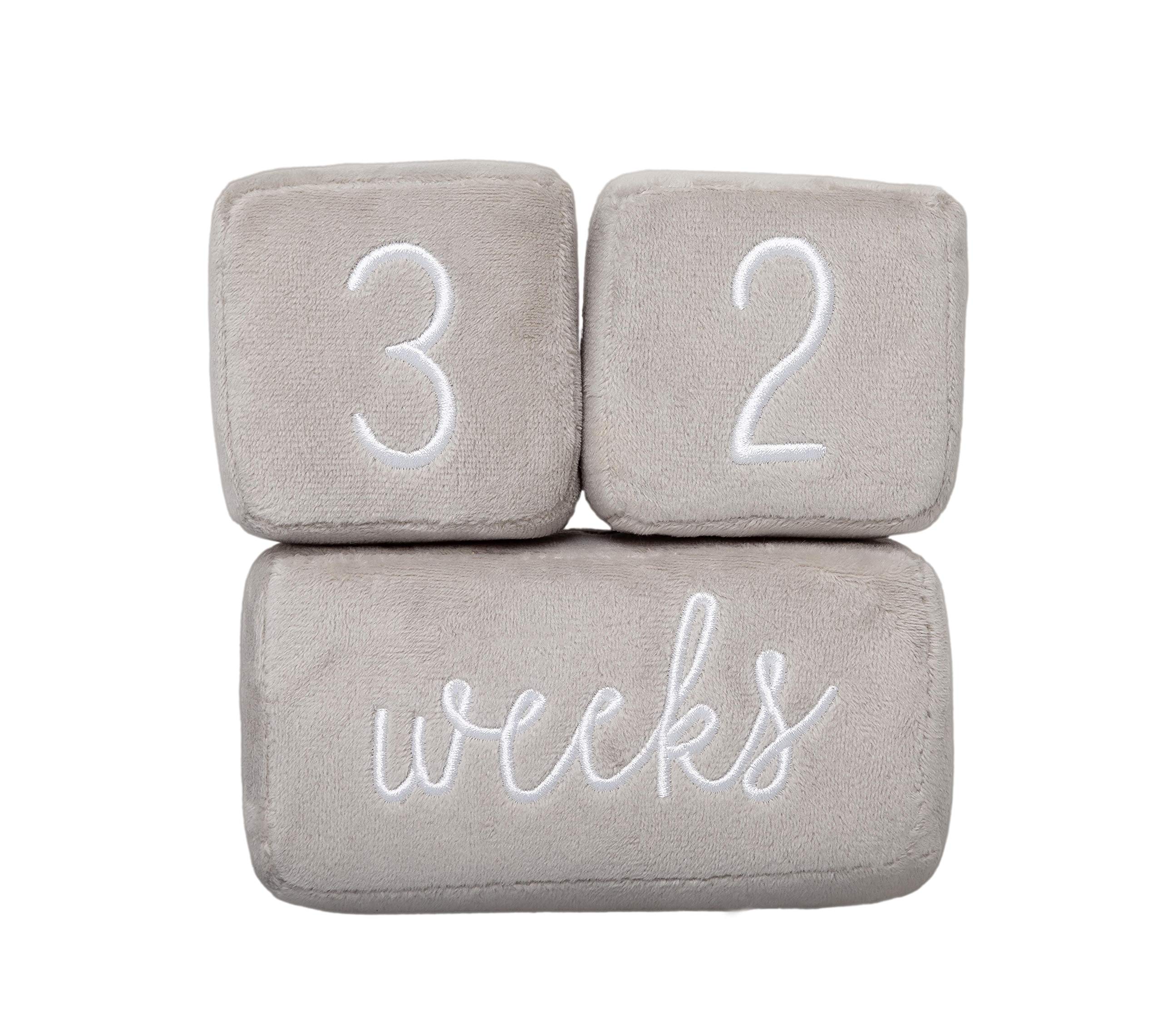 Pearhead Baby Plush Photo Sharing Milestone Age Blocks, Picture Prop, Set of 3 Blocks, Gray