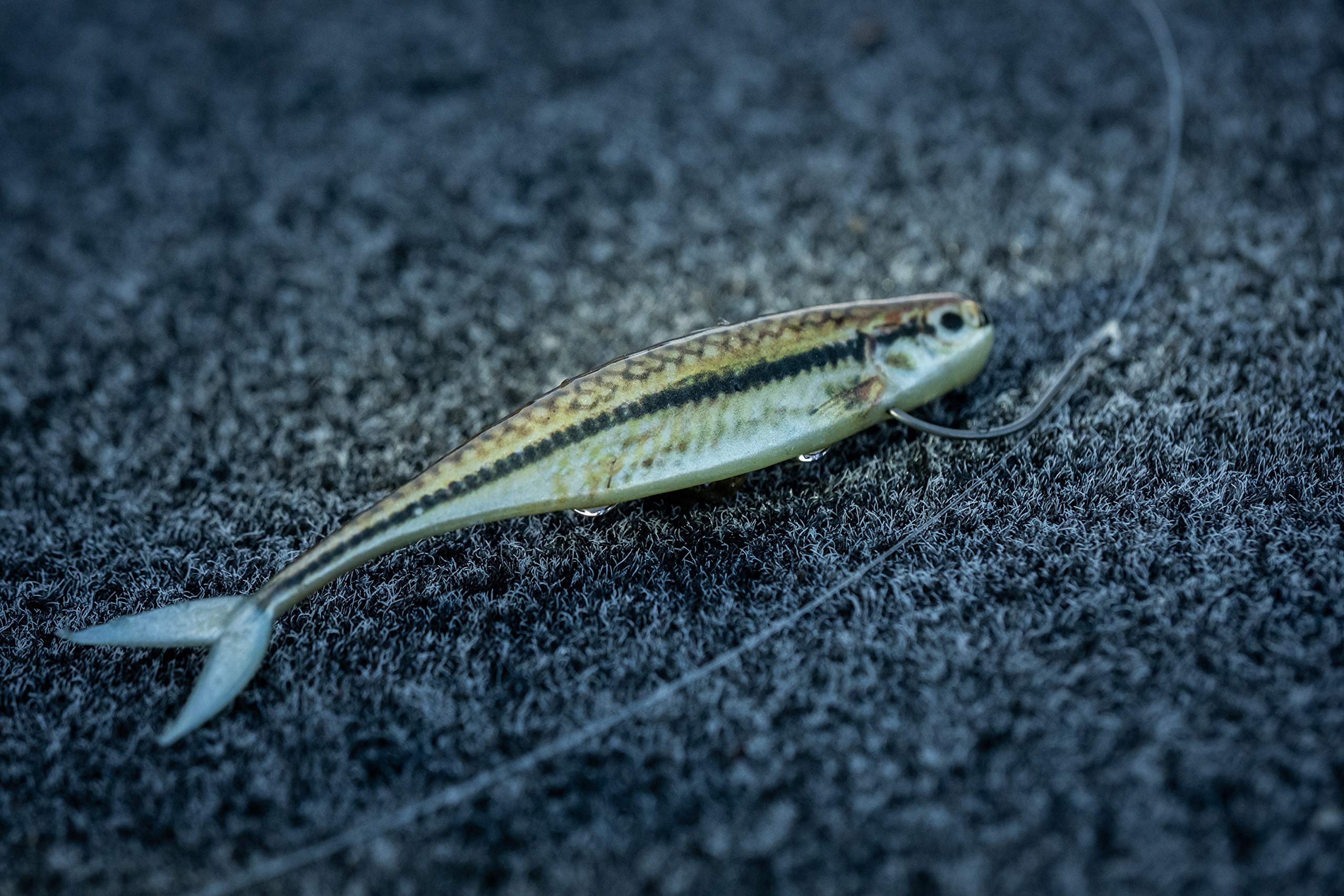 Berkley PowerBait The Champ Minnow Fishing Soft Bait, HD Rainbow Shiner, 3.4in