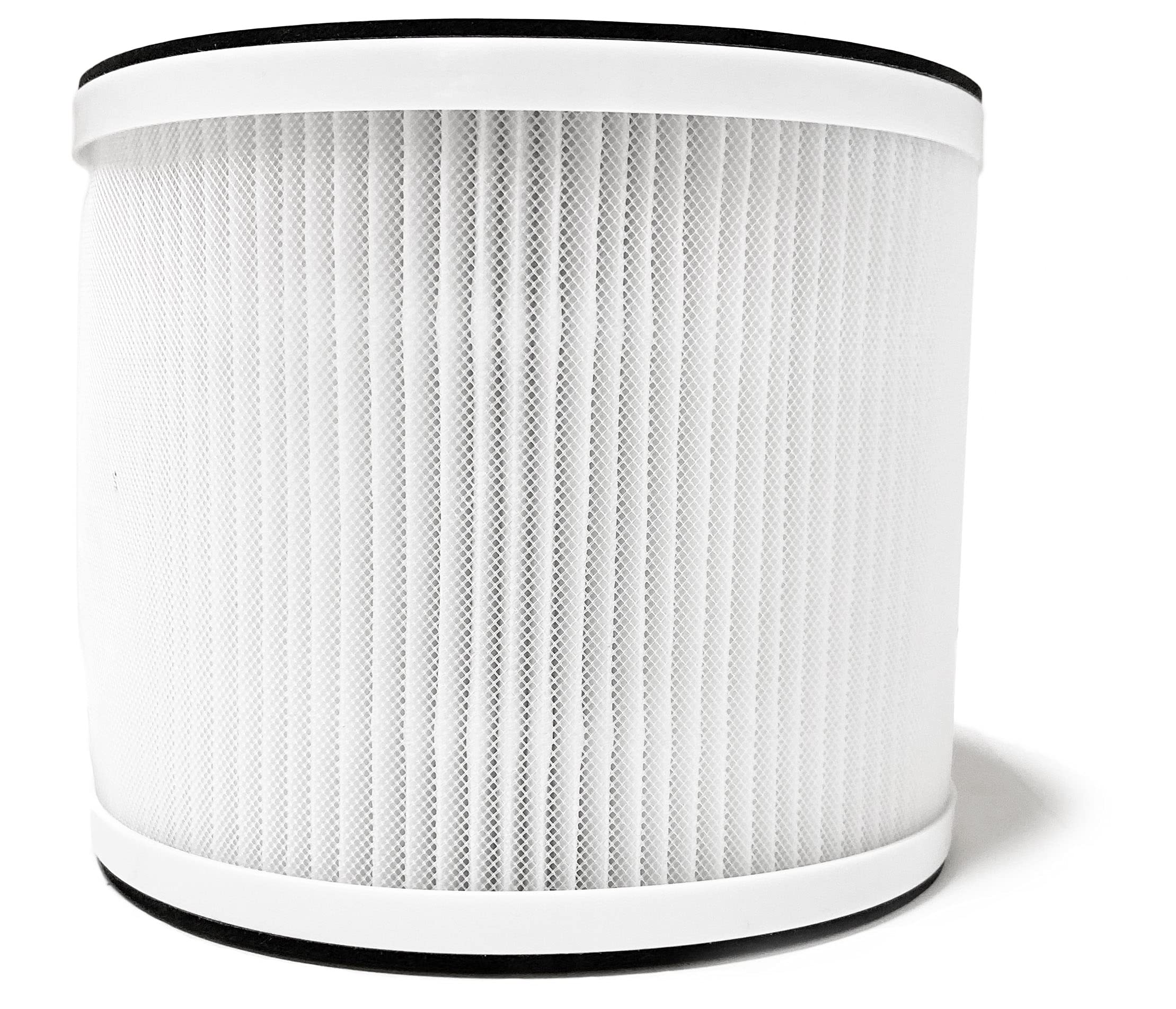 Nispira True HEPA Filter Replacement Compatible with Rigoglioso Air Purifier GL-2109 GL2109. 2 Packs