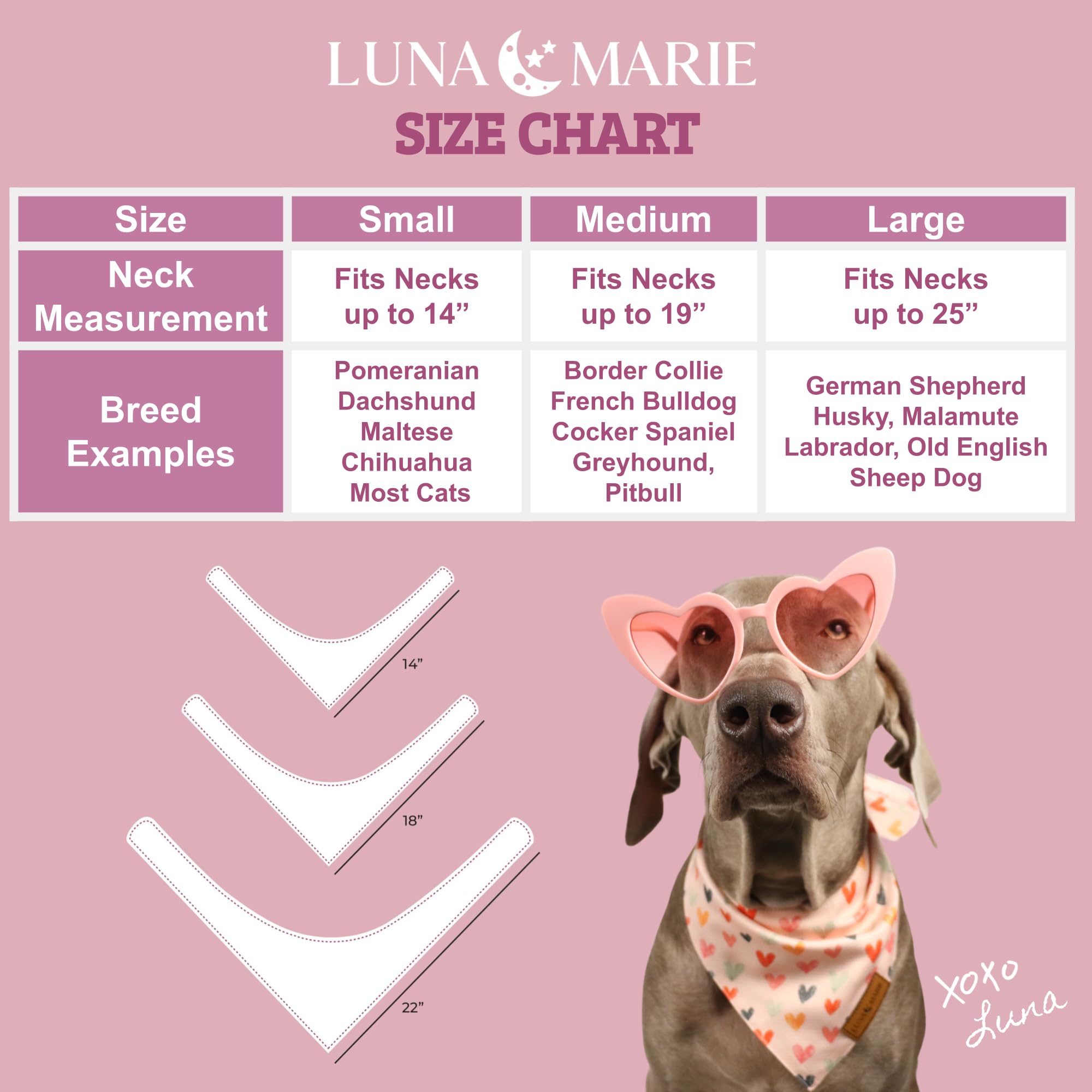 LunaMarie - Luxury Pet Birthday Bandanas -Premium & Silky Poly Fabric | 100% Handmade | Custom Shape Dual Layered (Bewitched, Large)